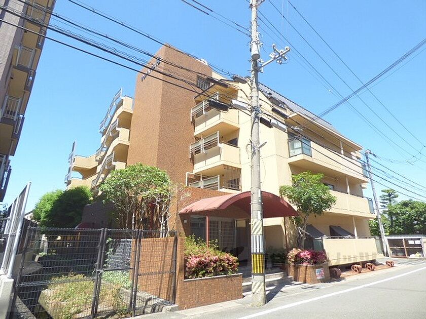 【ホームズ】でお部屋探し！サンハイム桂 5階/505[3LDK/賃料8.6万円/60.48㎡]賃貸マンション住宅情報(物件番号:0111205-0274709、取扱い不動産会社:株式会社エ ...
