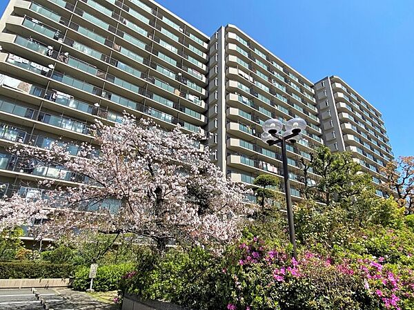 【ホームズ】ルネ住之江 1304｜大阪市住之江区、Osaka Metro南港ポートタウン線 平林駅 徒歩5分の中古マンション（物件番号：0118195-0007156）